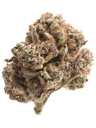 Besame Wellness | C4 3.5G GORILLA COOKIES